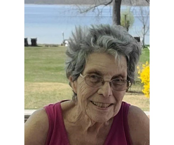 Sally Lee Rodgers Obituary (2026) - Fremont, MI - Kroeze-Wolffis ...