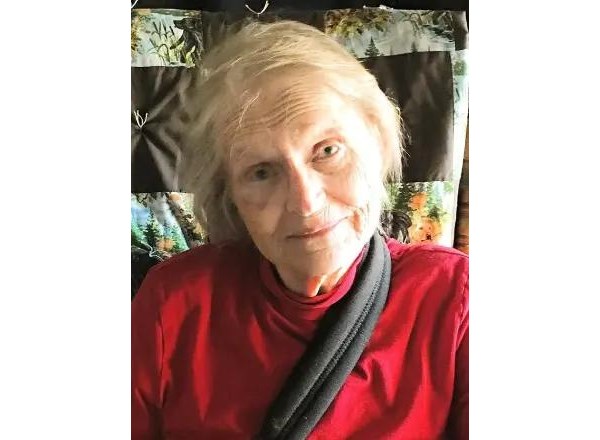 Mary Ann Butler Obituary (2025) - Troy, MI - A.J. Desmond & Sons ...