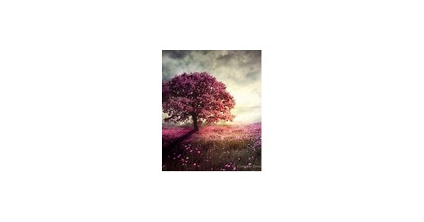 Lacey M. Phillips Obituary (2023) - Kalispell, MT - Buffalo Hill ...