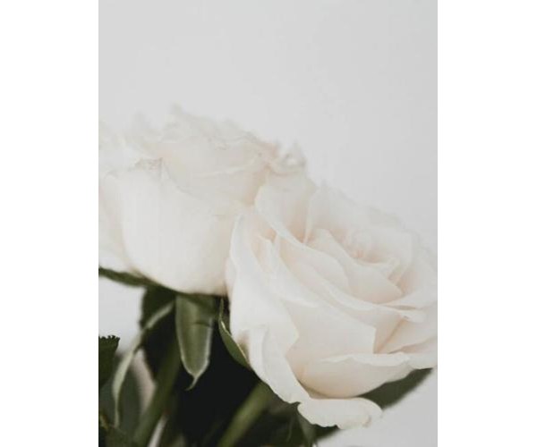 Catherine Bernadette Zayas Obituary (2024) - EDMONDS, WA - Beck's ...