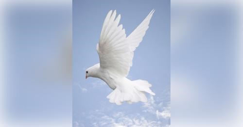 John Erik Gullberg Obituary (2023) - Media, PA - Cavanagh-Patterson ...