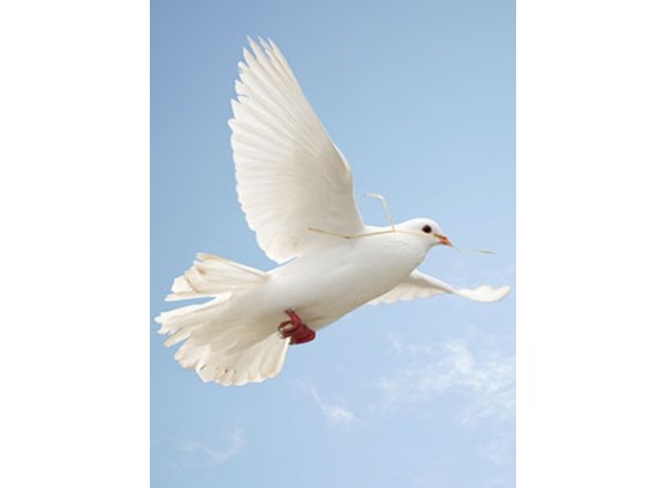Nicholas John Cosentino Obituary (2026) - Manalapan, NJ - Freeman ...