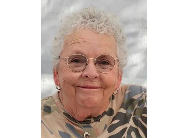 Susan Elaine Raines Obituary (2025) - Midwest City, OK - Barnes ...