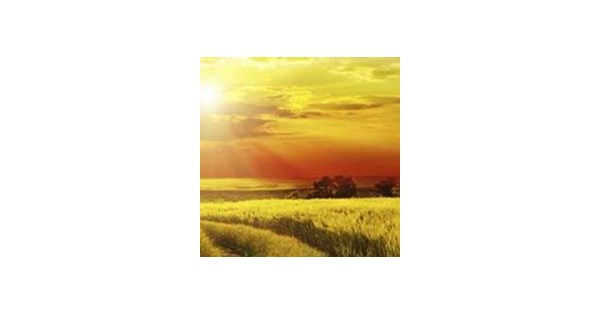 Robert Cichon Obituary 2024 Saint Cloud Fl New Horizon Funeral Chapel And Cremation