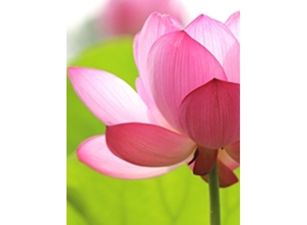 Mrs. Jean Ann Grinnell Obituary (2026) - Hiram, GA - Benson Funeral ...