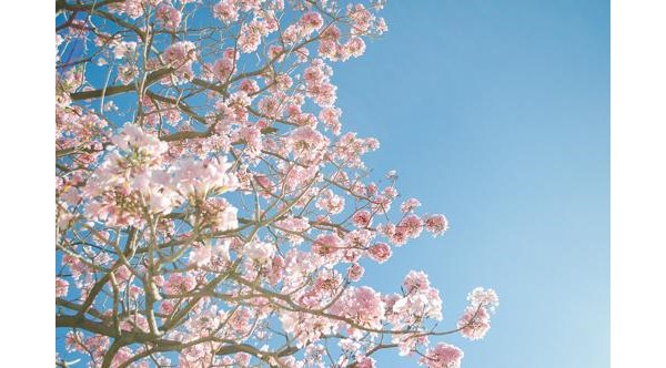 William Paradis III Obituary (2023) - Rocky Hill, CT - Abbey Cremation ...