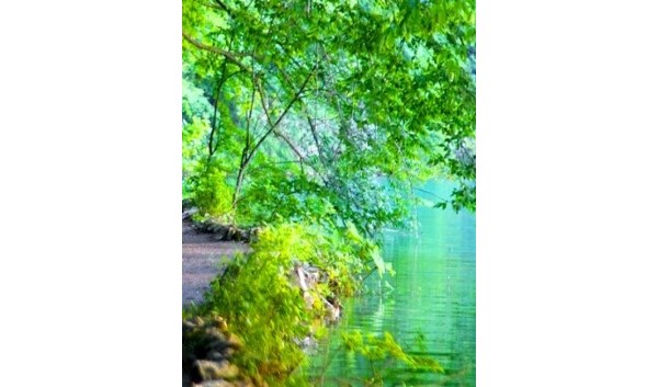 Jennifer L. Libby Obituary (2024) - Lock Haven, PA - Donald G Walker ...