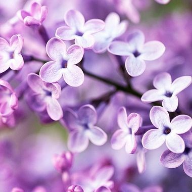 Kathleen Kittelson Obituary (2023) - Hudson, WI - O'Connell Family ...