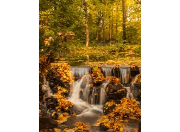 Jeffery Frank Grant Obituary (2026) - Clarksville, TN - Neal-Tarpley ...