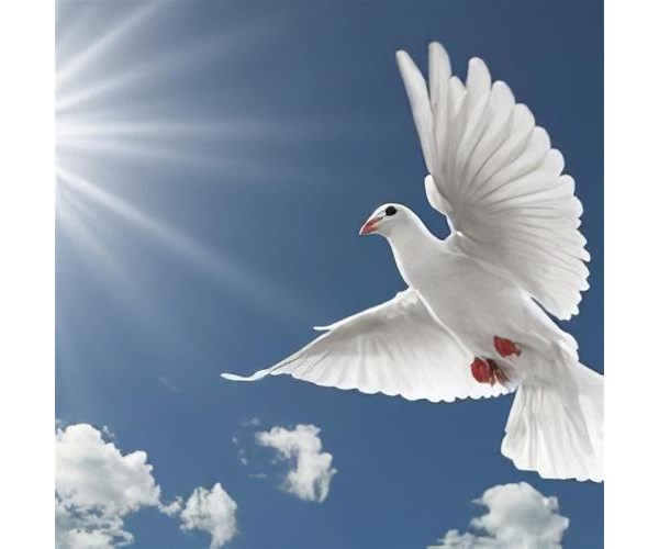 Carmel Eileen Byrnes Obituary (2026) - Lantana, FL - Palm Beach ...
