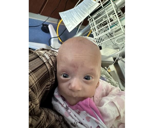 Caroline Stein Obituary (2025) - Pembroke Pines, FL - Boyd-Panciera ...