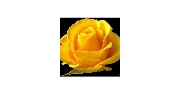 Elsie Lobdell Obituary (2024) - Winslow, IL - Leamon Funeral Home - Lena