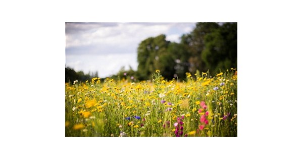 Donna C. Bingham Obituary (2025) - Cherryville, NC - Stamey-Cherryville ...