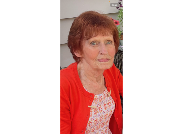 Jill Ann D'Angelo Obituary (2025) - Wilmington, NC - Wilmington Funeral ...