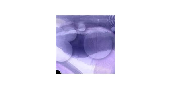 Ms. Saundra Harris Obituary (2024) - Kansas City, MO - Lawrence A ...