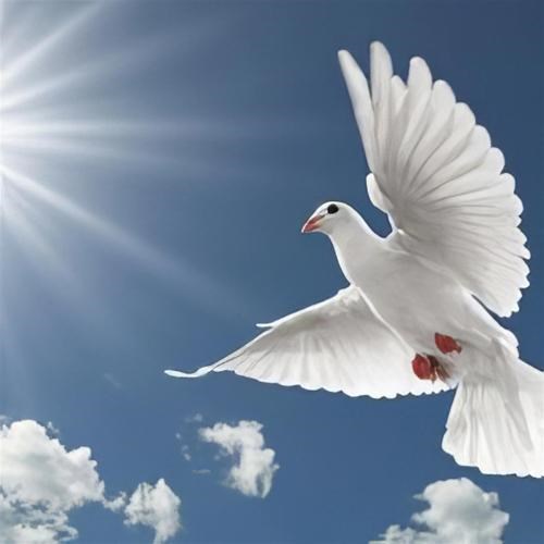Madeline Welker Obituary (2026) - Boonville, MO - H.T. May & Sons ...