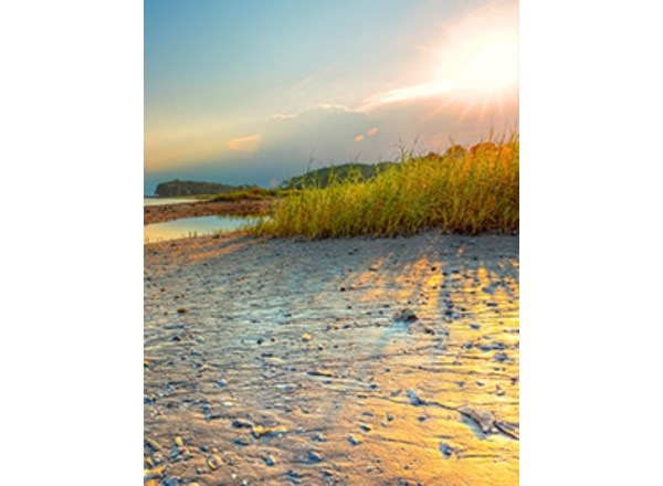 Kimberly Wills Obituary (2025) - Parkville, MD - Evans Funeral Chapel ...