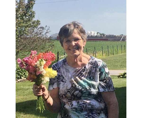 Toni L Morris Obituary (2025) - Mishawaka, IN - Hahn Funeral Home
