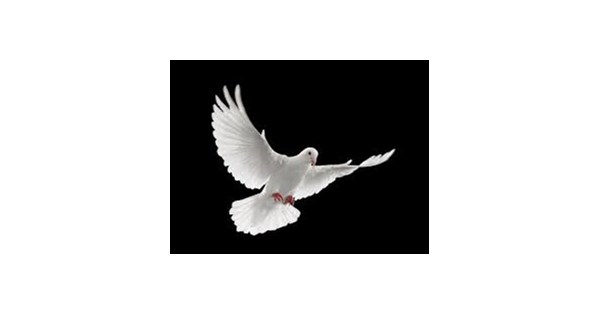 Terry Lieb Obituary (2025) - Moberly, MO - Cater Funeral Home