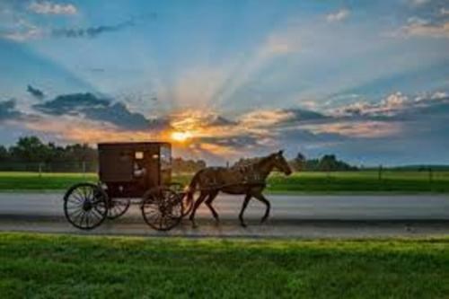 Emily Rose Schwartz Obituary (2025 - 2026) - Monroe, IN - WFFT-TV 55 News