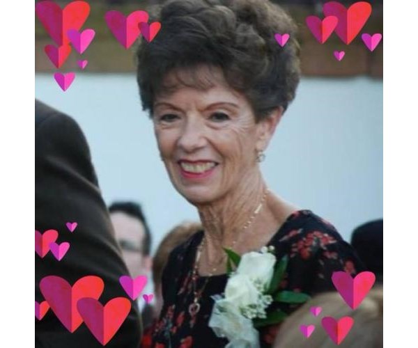 Sharon Louise Giannetti Obituary (2024) - Macomb Township, MI - Lee ...
