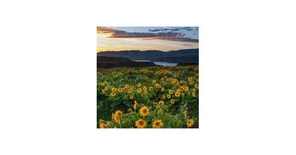 Patricia Jean Bishop Obituary (2025) - Corvallis, OR - McHenry Funeral ...