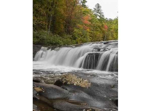 Mr. Roger D. Thomas Obituary (2026) - Summerville, GA - Mason Funeral ...