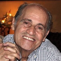 Francesco Belcastro Obituary (2022) - Sterling Heights, MI - Wujek ...