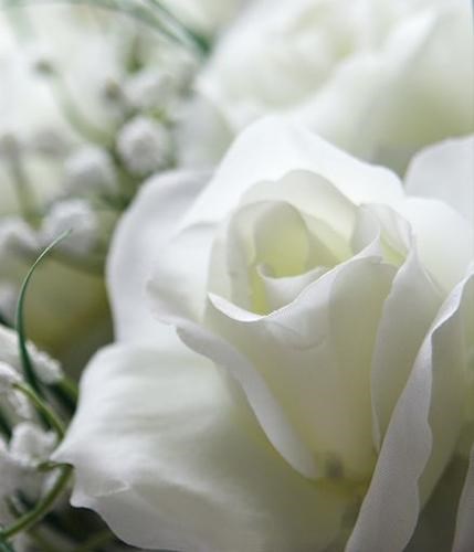 Belinda Craven Obituary (2026) - Aberdeen, MS - Tisdale-Lann Memorial ...