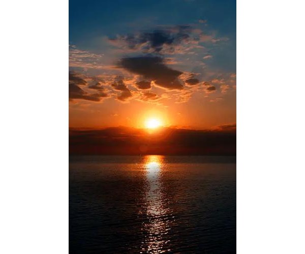 Sally Joan Bond Obituary (1937 - 2025) - Bellingham, WA - My Bellingham Now