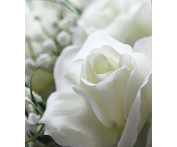Sharon Pennington Obituary (1946 - 2025) - Clarksville, TN ...