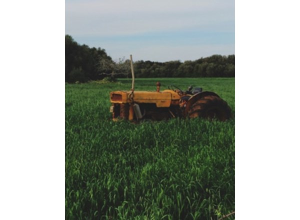 Lannie Ray Herring Obituary (2026) - Bennetts Bridge, NC - Tyndall ...
