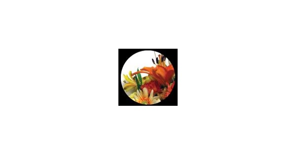 Roger Lee Smith Sr. Obituary (2023) - Jacksonville, FL - C.L. Page ...