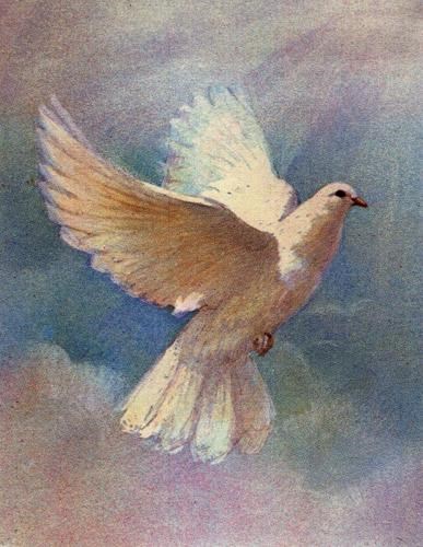 Lorraine G. "Wangler" Wroblewski Obituary (2025) - Brookville, PA ...