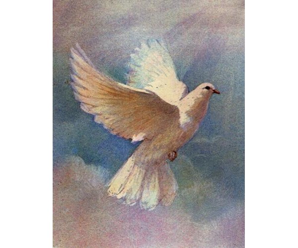 Lorraine G. "Wangler" Wroblewski Obituary (2025) - Brookville, PA ...