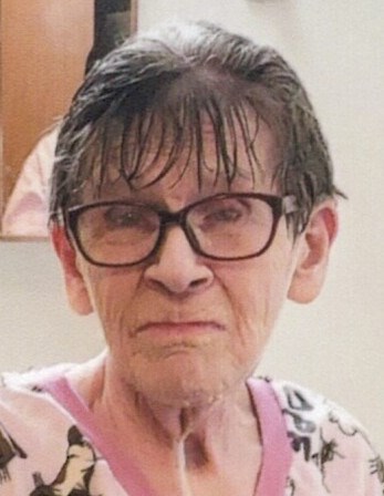 Sandra Drake Obituary (2023) - Binghamton, NY - Hopler & Eschbach ...