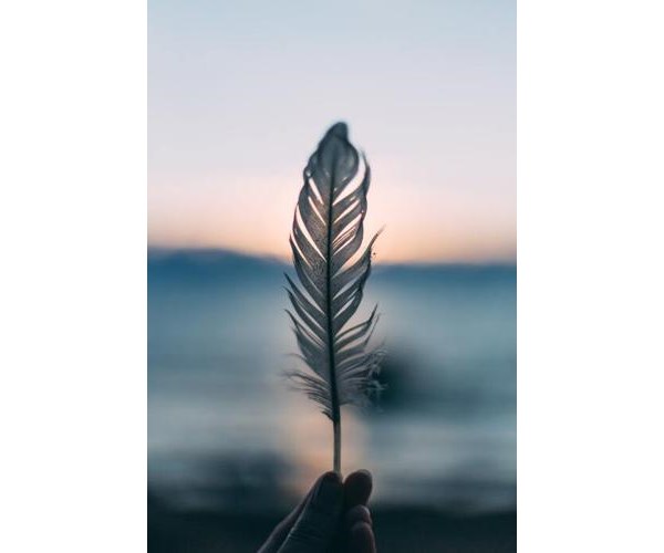 Amanda Jean "Mandy" Sautner Obituary (2023) - Morehead City, NC - Noe ...