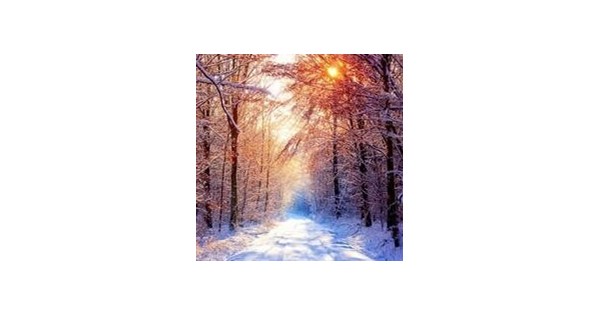 Steven A. Radtke Obituary (2024) - New Haven, MI - Jowett Funeral Home ...