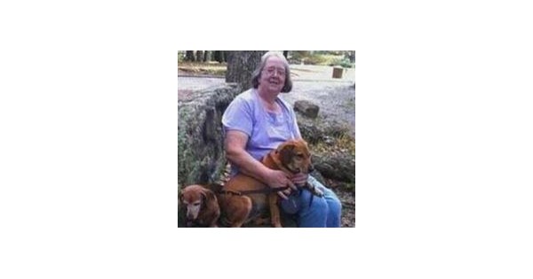 Elizabeth Foley Steele Obituary and Online Memorial (2025)