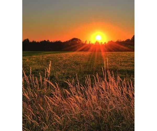 Jerry Lee Anderson Obituary (2025) - Savannah, TN - Shackelford Funeral ...