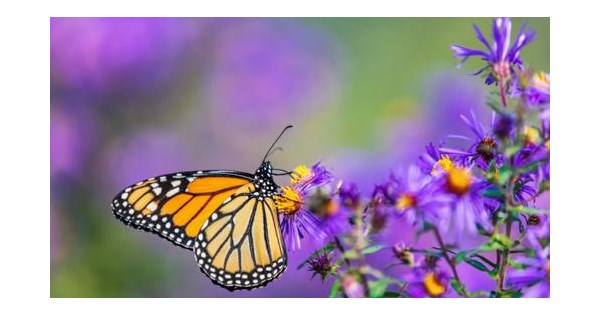 Tawnya Heath Obituary (2026) - Daphne, AL - Hughes Funeral Home and ...