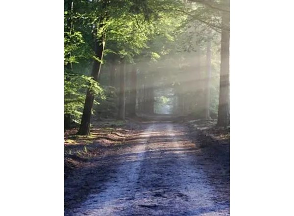 Travis Lee Downing Obituary (2024) - Waverly, OH - Boyer Funeral Home ...