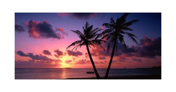 Dona Smith Obituary (2026) - Holiday, FL - Thomas B. Dobies Funeral ...