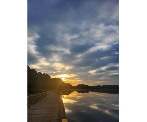 Billy Whitaker Obituary (2024) - Southern Pines, NC - Fry & Prickett ...
