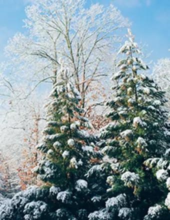 Daniel R Lazzaro Obituary (2025) - Wilton, NH - Michaud Funeral Home ...