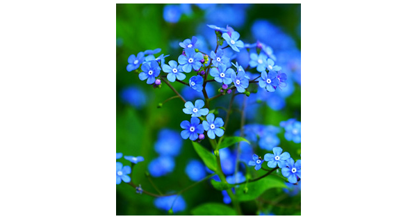 Krystal Lee Medlin Obituary (2025) - Lewiston, ID - Mountain View ...