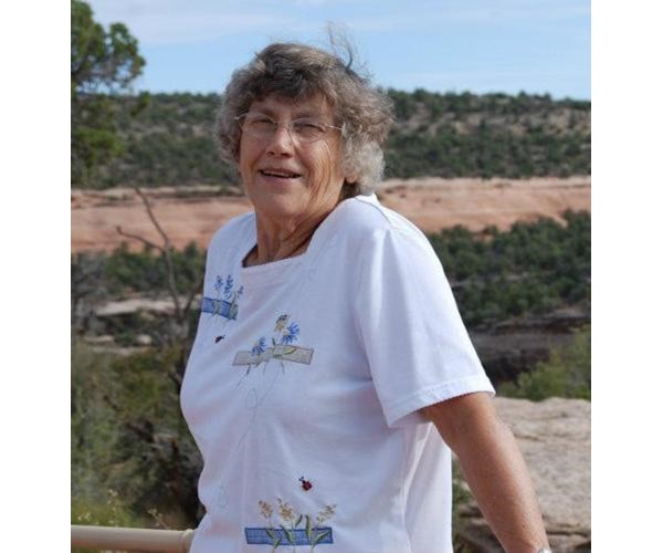 Heidi Ann Marie Van Horn Obituary (2025) - Clearwater, KS - Shinkle ...
