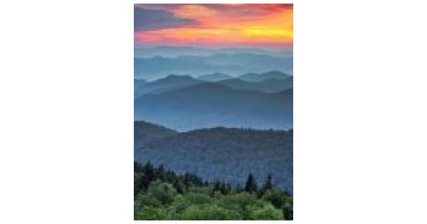 Catherine Conner Obituary (2023) - Lynchburg, VA - Tharp Funeral Home ...