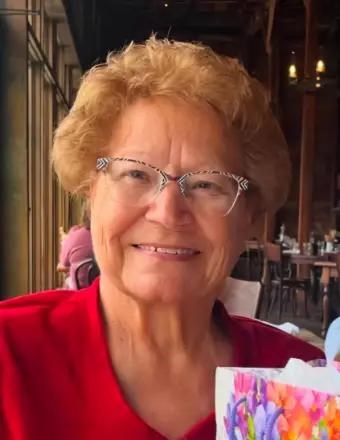 Linda Lou Lanza Obituary (2024) - Springfield, MO - Walnut Lawn Funeral ...