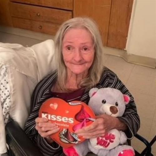 Carol A. Adams Obituary (2025) - Tampa, FL - Boza & Roel Funeral Home